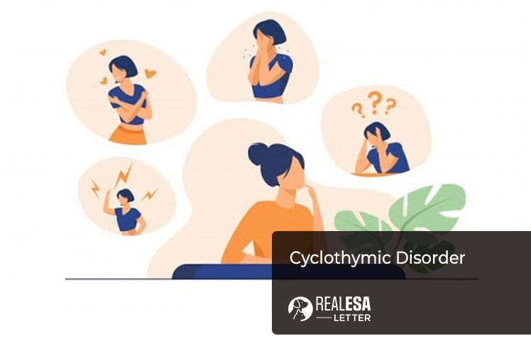 Navigating Cyclothymic Disorder’s Racing Thoughts: Causes And ...